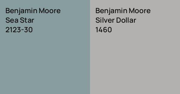 Benjamin Moore Sea Star vs. Benjamin Moore Silver Dollar comparison
