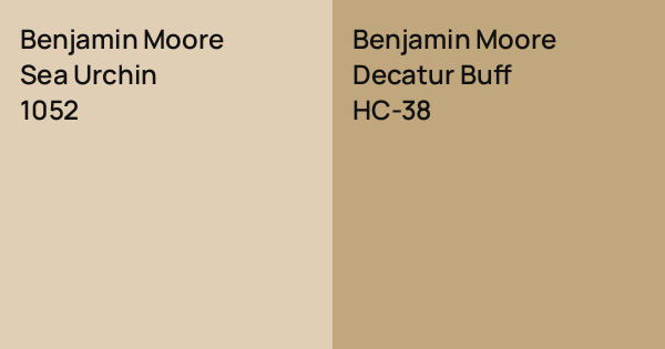 Benjamin Moore Sea Urchin vs. Benjamin Moore Decatur Buff comparison