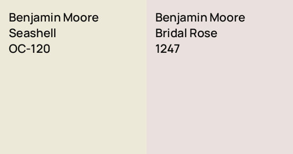 Benjamin Moore Seashell vs. Benjamin Moore Bridal Rose comparison