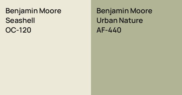 Benjamin Moore Seashell vs. Benjamin Moore Urban Nature comparison