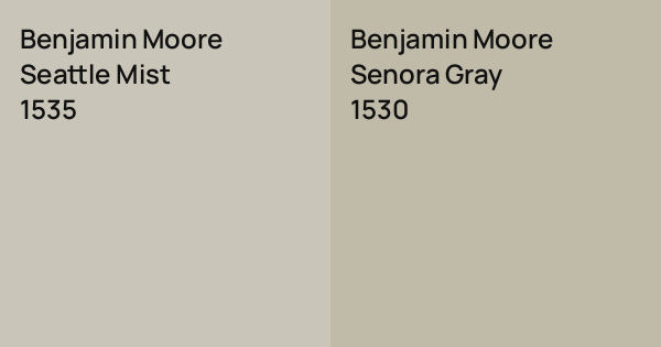 Benjamin Moore Seattle Mist vs. Benjamin Moore Senora Gray comparison