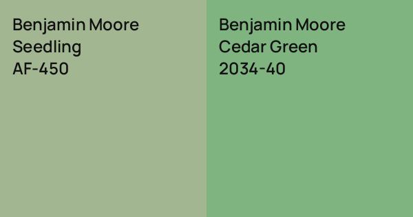 Benjamin Moore Seedling vs. Benjamin Moore Cedar Green comparison