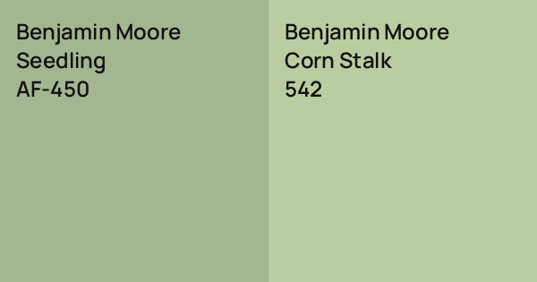 Benjamin Moore Seedling vs. Benjamin Moore Corn Stalk comparison