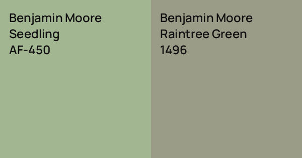 Benjamin Moore Seedling vs. Benjamin Moore Raintree Green comparison