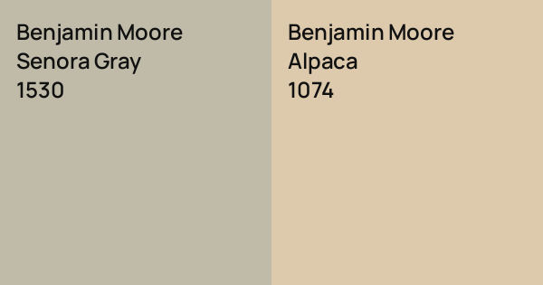 Benjamin Moore Senora Gray vs. Benjamin Moore Alpaca comparison