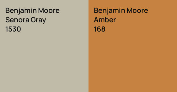Benjamin Moore Senora Gray vs. Benjamin Moore Amber comparison