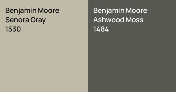 Benjamin Moore Senora Gray vs. Benjamin Moore Ashwood Moss comparison