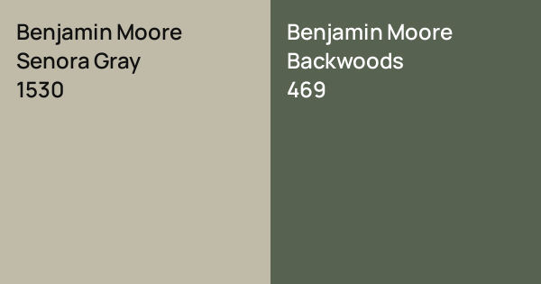 Benjamin Moore Senora Gray vs. Benjamin Moore Backwoods comparison