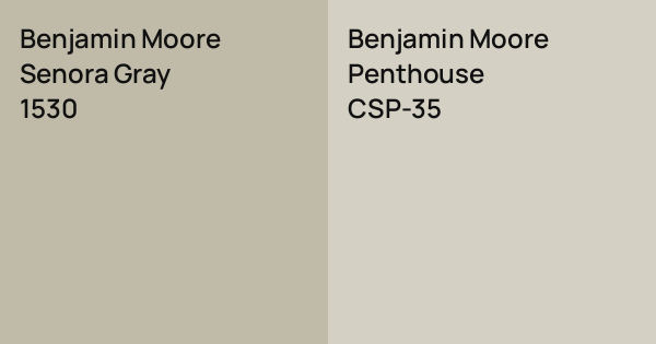 Benjamin Moore Senora Gray vs. Benjamin Moore Penthouse comparison