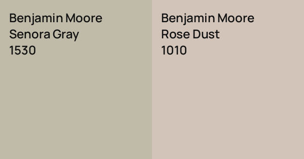 Benjamin Moore Senora Gray vs. Benjamin Moore Rose Dust comparison