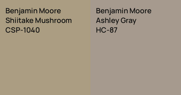 Benjamin Moore Shiitake Mushroom vs. Benjamin Moore Ashley Gray comparison