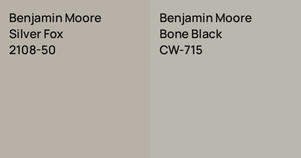 Benjamin Moore Silver Fox vs. Benjamin Moore Bone Black comparison