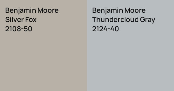 Benjamin Moore Silver Fox vs. Benjamin Moore Thundercloud Gray comparison