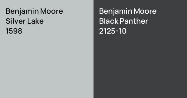 Benjamin Moore Silver Lake vs. Benjamin Moore Black Panther comparison