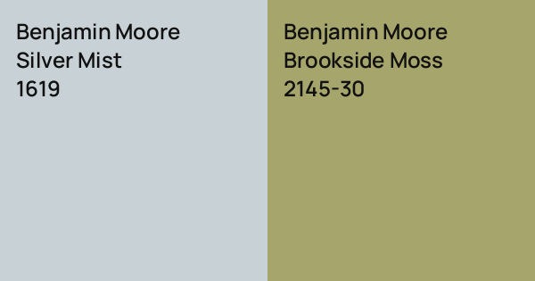 Benjamin Moore Silver Mist vs. Benjamin Moore Brookside Moss comparison