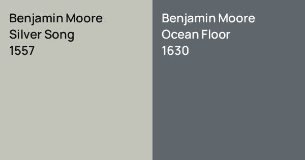 Benjamin Moore Silver Song vs. Benjamin Moore Ocean Floor comparison