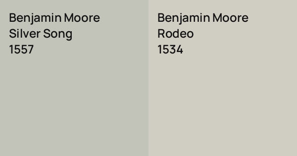 Benjamin Moore Silver Song vs. Benjamin Moore Rodeo comparison