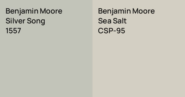 Benjamin Moore Silver Song vs. Benjamin Moore Sea Salt comparison