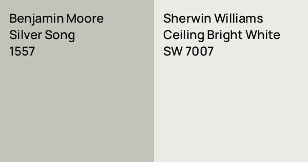 Benjamin Moore Silver Song vs. Sherwin Williams Ceiling Bright White ...