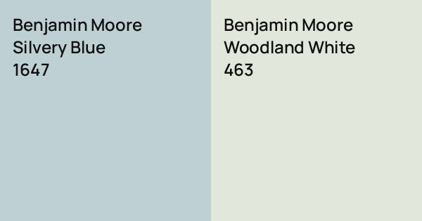 Benjamin Moore Silvery Blue vs. Benjamin Moore Woodland White comparison
