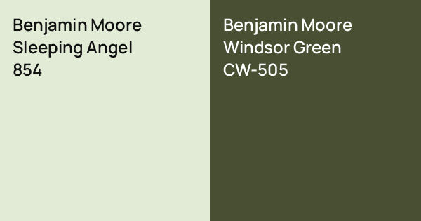 Benjamin Moore Sleeping Angel vs. Benjamin Moore Windsor Green comparison