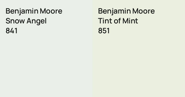 Benjamin Moore Snow Angel vs. Benjamin Moore Tint of Mint comparison