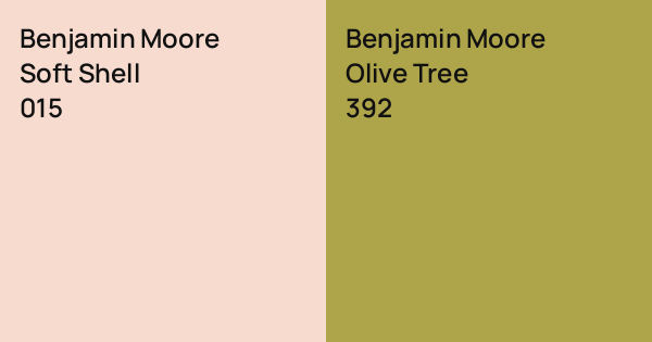 Benjamin Moore Soft Shell vs. Benjamin Moore Olive Tree comparison