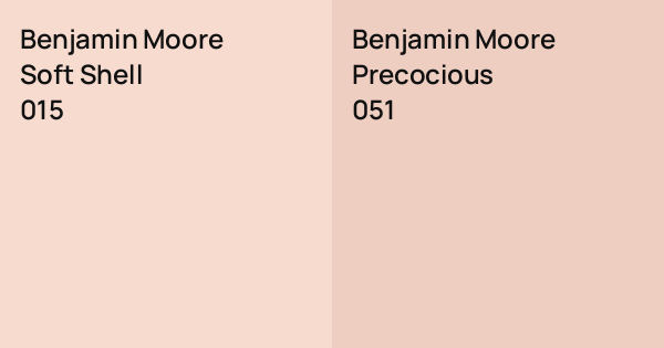 Benjamin Moore Soft Shell vs. Benjamin Moore Precocious comparison