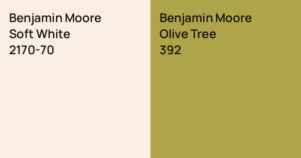 Benjamin Moore Soft White vs. Benjamin Moore Olive Tree comparison