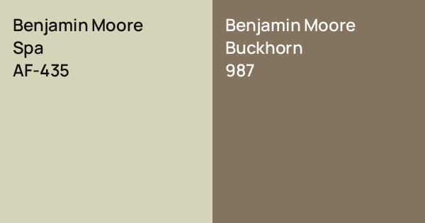Benjamin Moore Spa vs. Benjamin Moore Buckhorn comparison