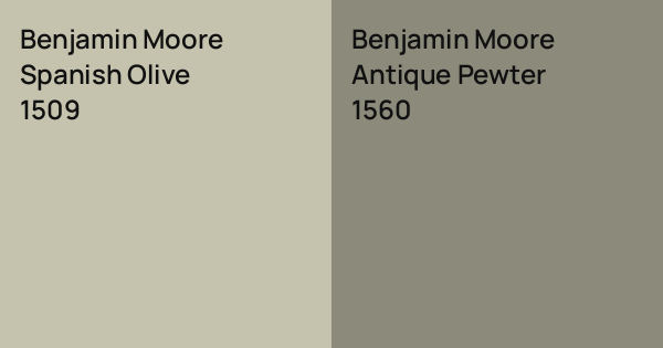 Benjamin Moore Spanish Olive vs. Benjamin Moore Antique Pewter comparison