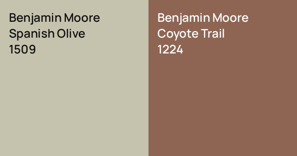 Benjamin Moore Spanish Olive vs. Benjamin Moore Coyote Trail comparison
