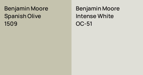 Benjamin Moore Spanish Olive vs. Benjamin Moore Intense White comparison