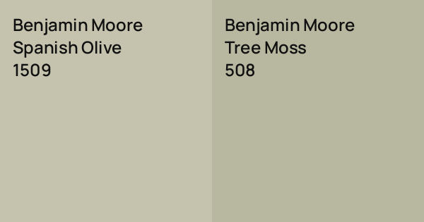 Benjamin Moore Spanish Olive vs. Benjamin Moore Tree Moss comparison