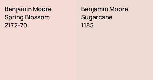Benjamin Moore Spring Blossom vs. Benjamin Moore Sugarcane comparison