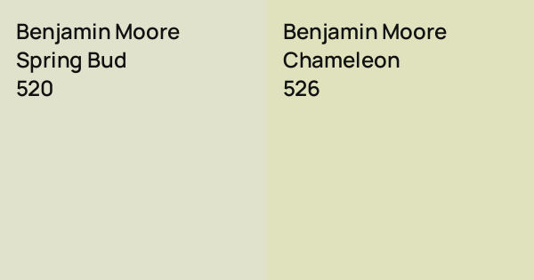 Benjamin Moore Spring Bud vs. Benjamin Moore Chameleon comparison