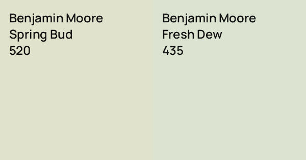 Benjamin Moore Spring Bud vs. Benjamin Moore Fresh Dew comparison