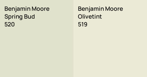 Benjamin Moore Spring Bud vs. Benjamin Moore Olivetint comparison