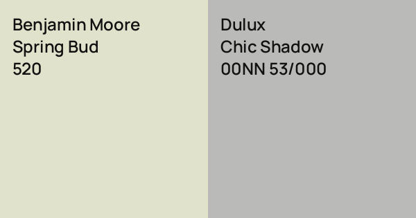 Benjamin Moore Spring Bud vs. Dulux Chic Shadow comparison
