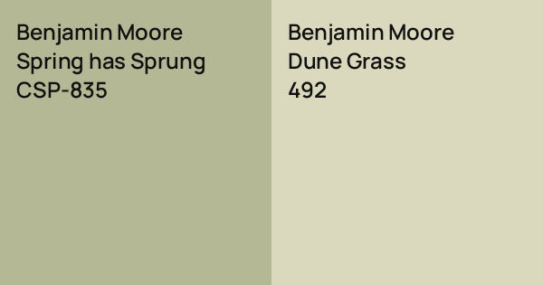 Benjamin Moore Spring has Sprung vs. Benjamin Moore Dune Grass comparison