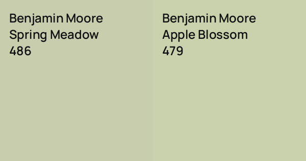 Benjamin Moore Spring Meadow vs. Benjamin Moore Apple Blossom comparison