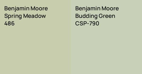 Benjamin Moore Spring Meadow vs. Benjamin Moore Budding Green comparison