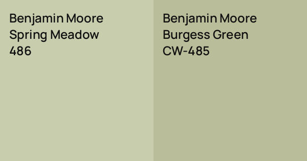 Benjamin Moore Spring Meadow vs. Benjamin Moore Burgess Green comparison