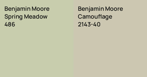 Benjamin Moore Spring Meadow vs. Benjamin Moore Camouflage comparison