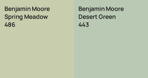 Benjamin Moore Spring Meadow vs. Benjamin Moore Desert Green comparison