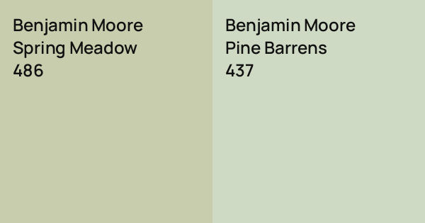 Benjamin Moore Spring Meadow vs. Benjamin Moore Pine Barrens comparison