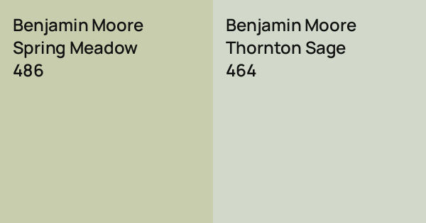 Benjamin Moore Spring Meadow vs. Benjamin Moore Thornton Sage comparison