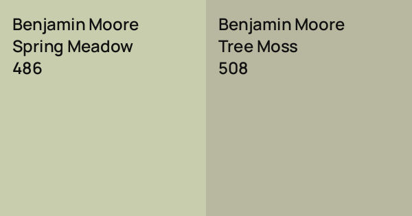 Benjamin Moore Spring Meadow vs. Benjamin Moore Tree Moss comparison