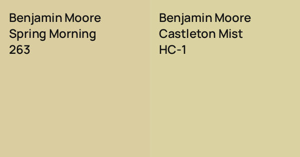 Benjamin Moore Spring Morning vs. Benjamin Moore Castleton Mist comparison