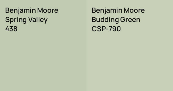 Benjamin Moore Spring Valley vs. Benjamin Moore Budding Green comparison